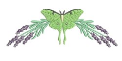 Luna Moth Embroidery Design | EmbroideryDesigns.com