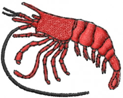 Shrimp Embroidery Design | EmbroideryDesigns.com