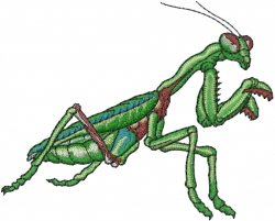 Praying Mantis Embroidery Design | EmbroideryDesigns.com