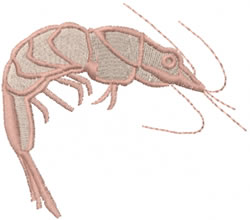 SHRIMP Embroidery Design | EmbroideryDesigns.com