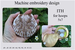 ITH Coin Wallet Seashell Embroidery Design | EmbroideryDesigns.com