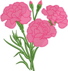 Carnations Embroidery Design | EmbroideryDesigns.com