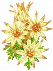 Edelweiss Embroidery Design | EmbroideryDesigns.com