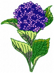 Hydrangea Embroidery Design | EmbroideryDesigns.com