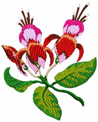 Fuchsia Embroidery Design | EmbroideryDesigns.com