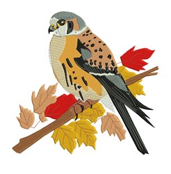 American Kestrel Embroidery Design | EmbroideryDesigns.com