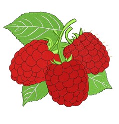 Raspberry Embroidery Design | EmbroideryDesigns.com