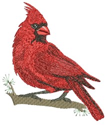 Cardinal Embroidery Design | EmbroideryDesigns.com
