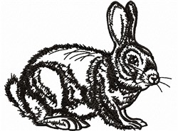 Bunny Rabbit Embroidery Design | EmbroideryDesigns.com