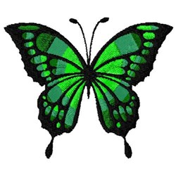 Green Butterfly Embroidery Design | EmbroideryDesigns.com
