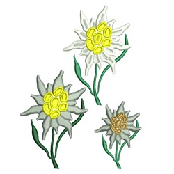 Edelweiss Embroidery Design | EmbroideryDesigns.com