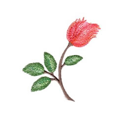Variegated flower Embroidery Design | EmbroideryDesigns.com