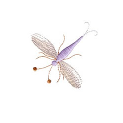 Variegated Wing Mayfly Embroidery Design | EmbroideryDesigns.com