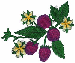 BERRIES Embroidery Design | EmbroideryDesigns.com