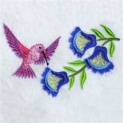 Realistic Hummingbird Embroidery Design | EmbroideryDesigns.com