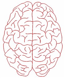Brain Outline Embroidery Design | EmbroideryDesigns.com