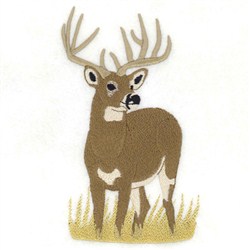 Buck Embroidery Design | EmbroideryDesigns.com