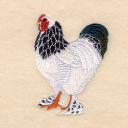 Light Brahma Rooster Embroidery Design | EmbroideryDesigns.com