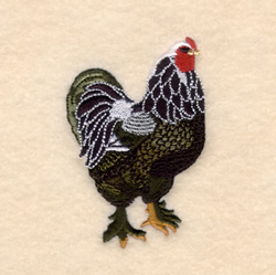 Dark Brahma Rooster Embroidery Design | EmbroideryDesigns.com