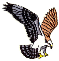Diving Osprey Embroidery Design | EmbroideryDesigns.com