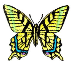 Large Butterfly Embroidery Design | EmbroideryDesigns.com