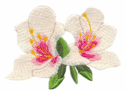 Azaleas Embroidery Design | EmbroideryDesigns.com