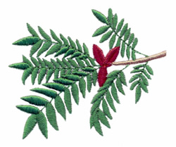 Texas - Sweet Pecan Embroidery Design | EmbroideryDesigns.com