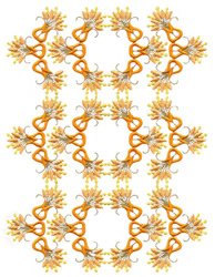 Stylized Flower Rectangle Embroidery Design | EmbroideryDesigns.com