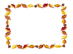 Autumn Leaf Border Embroidery Design | EmbroideryDesigns.com