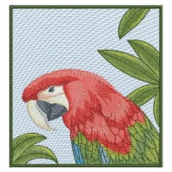 Colorful Parrots Embroidery Design | EmbroideryDesigns.com