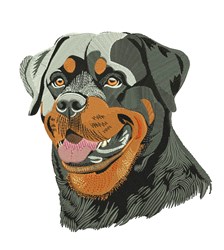 Rottweiler Embroidery Design | EmbroideryDesigns.com