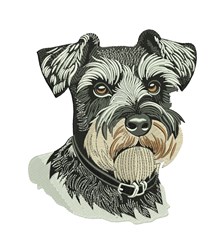 Schnauzer Embroidery Design | EmbroideryDesigns.com