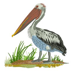 Pelican Embroidery Design | EmbroideryDesigns.com