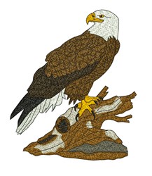 Bald Eagle Embroidery Design | EmbroideryDesigns.com