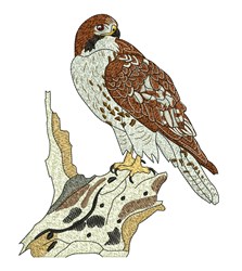 Red Tail Hawk Embroidery Design | EmbroideryDesigns.com