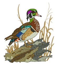 Wood Duck Embroidery Design | EmbroideryDesigns.com