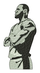Lebron James Embroidery Design | EmbroideryDesigns.com
