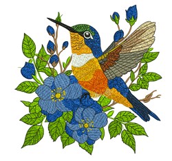 Hummingbird Embroidery Design | EmbroideryDesigns.com