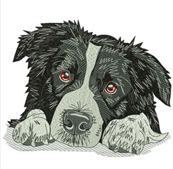 Border Collie Embroidery Design | EmbroideryDesigns.com