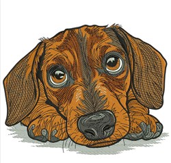 Dachshund Embroidery Design | EmbroideryDesigns.com