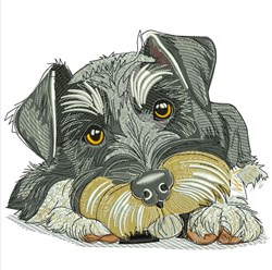 Schnauzer Embroidery Design | EmbroideryDesigns.com