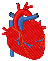 Anatomical Heart Embroidery Design | EmbroideryDesigns.com
