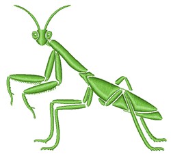 Praying Mantis Embroidery Design | EmbroideryDesigns.com