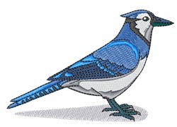 Blue Jay Embroidery Design | EmbroideryDesigns.com