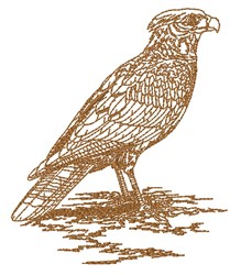 Falcon Embroidery Design | EmbroideryDesigns.com
