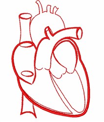 Realistic Heart Outline Embroidery Design | EmbroideryDesigns.com