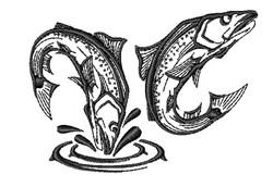 Jumping Trout Outline Embroidery Design | EmbroideryDesigns.com