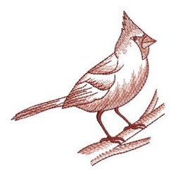Sketched Cardinal Embroidery Design | EmbroideryDesigns.com