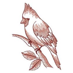 Sketched Cardinal In Branch Embroidery Design | EmbroideryDesigns.com
